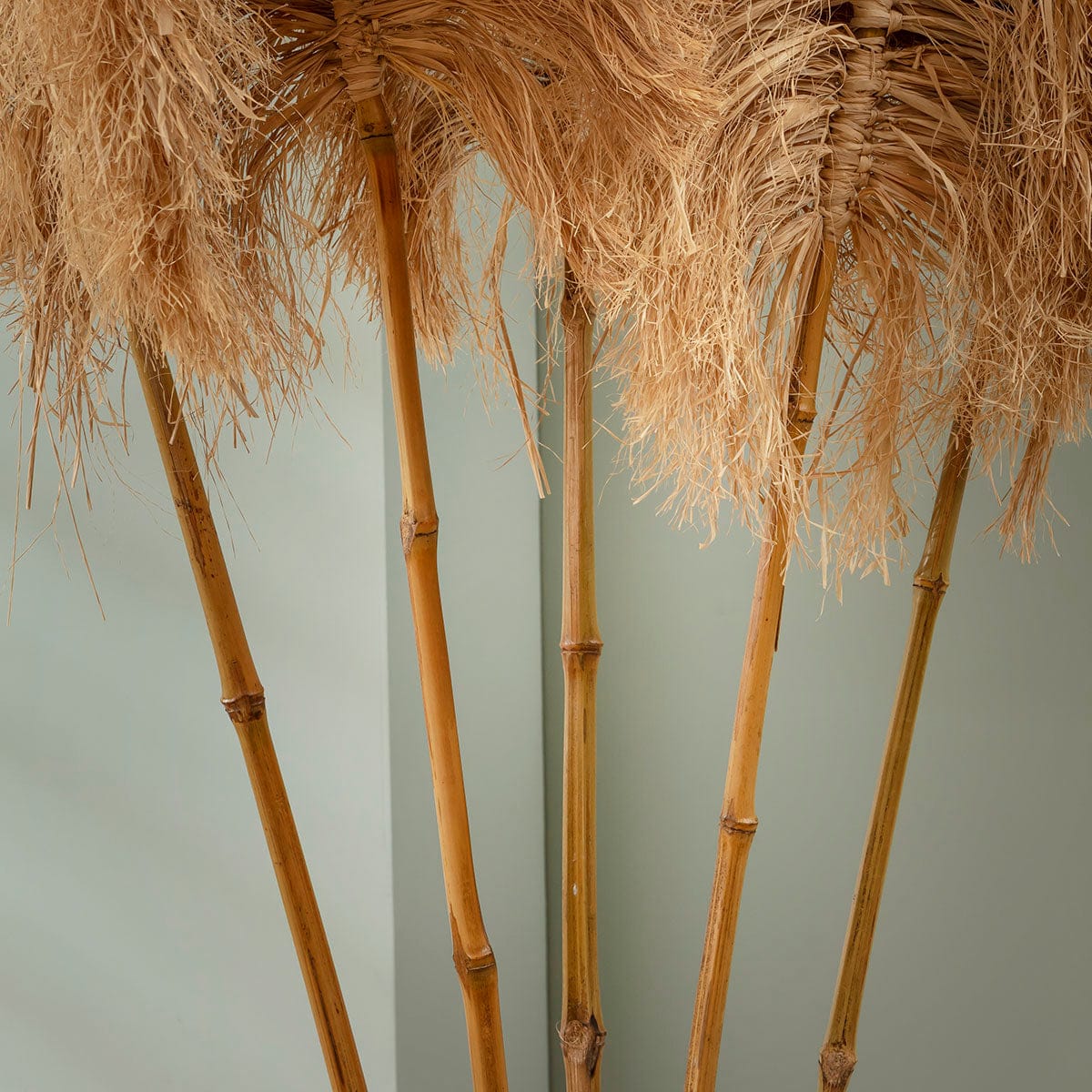 Verdura Decorative Pampass Grass 5-Piece Set Natural – Quatropi